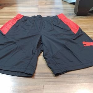 Puma | Shorts | Puma Shorts Dry Cell Mens Brand New | Poshmark